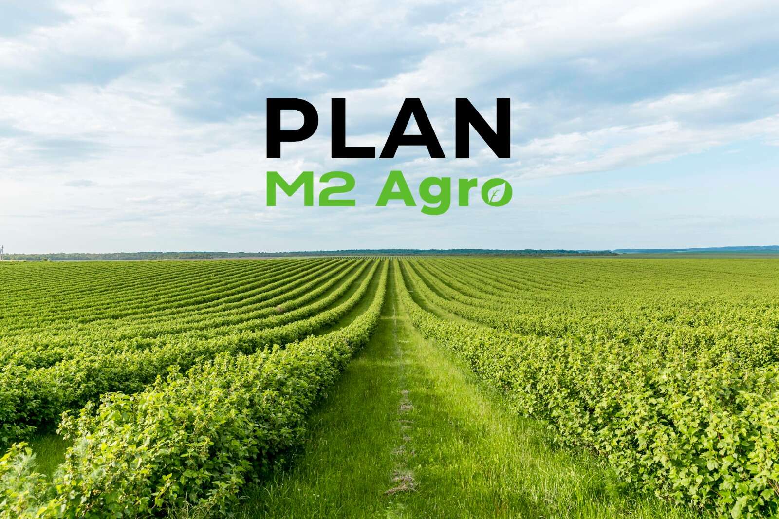 PLAN M2 AGRO - Una gran Oportunidad de inversión para el Agro